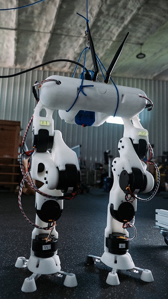 gemini – Human Mode Robotics